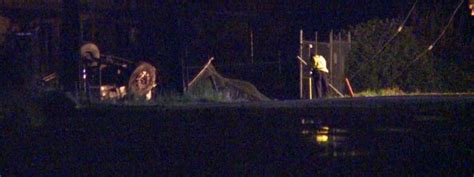 Delta Police Investigate Fatal Crash On River Road Cbc News