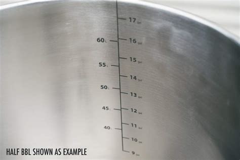 Ss Brewtech Chronical Fermenter 53 L Selbst Bier Brauen Brauen De