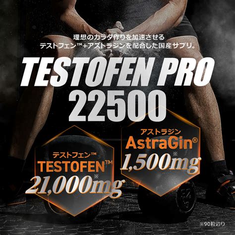 【楽天市場】finesports テストフェンプロ22500：e！choice 楽天市場店