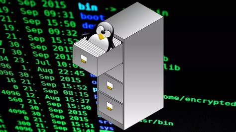 Guida Al Filesystem Di Linux Comprendere Le Directory Principali Wemedia