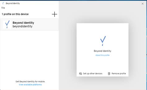 Finding Your Beyond Identity Version Beyond Identity
