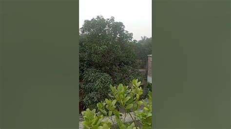 বেশি বেশি দূরুদ পরলে আমরা বশি সুখে থাকব Youtube