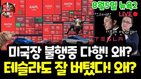 미국주식시황오늘 왜 더 떨어졌나 테슬라 엔비디아는 왜 떨어졌나구글 애플 아마존 메타 마이크로소프트 팔란티어 루시드 Smci 델 브로드컴 인텔 Crwd Tsla
