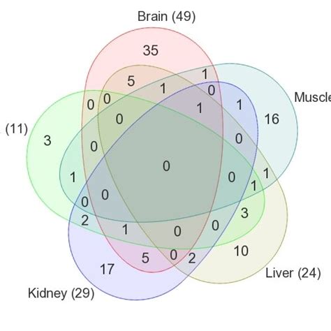 Venn Diagram Illustrating The Number Of Shared And Unique Positively