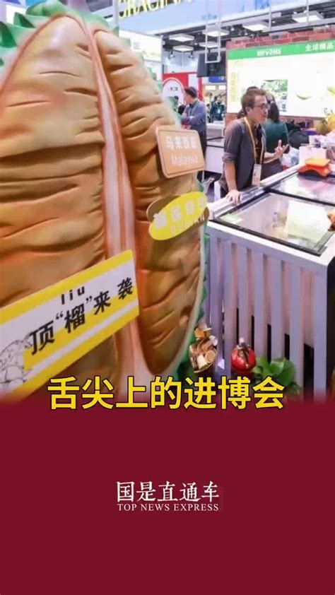 舌尖上的进博会凤凰网视频凤凰网