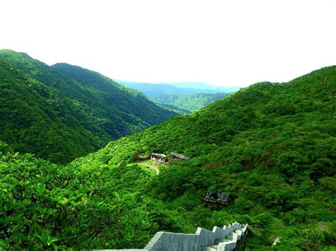 大粗坑古道 新北市觀光旅遊網