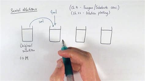 Maths In Biology As Youtube