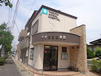 高松市 土日診療の動物病院やすだ動物病院