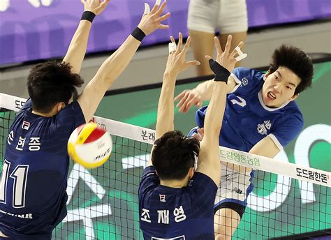‘봄배구 엔딩 이젠 ‘fa 전쟁 시작 서울신문