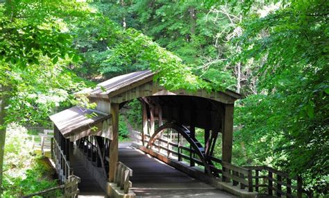 Premium Photo Built Structure In Forest Premium Photo Built Structure In Forest