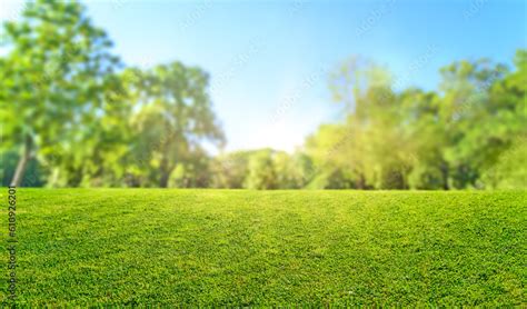 Natural Grass Field Background With Blurred Bokeh And Sun Rays Stock