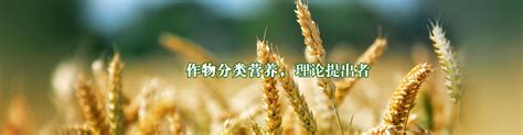 水溶肥的好效果，让草莓不断茬 行业新闻 烟台拉姆拉进出口有限公司