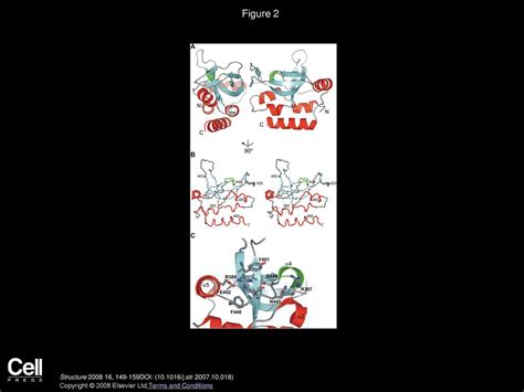Structure And Dna Binding Of The Human Rtf1 Plus3 Domain Ppt Download