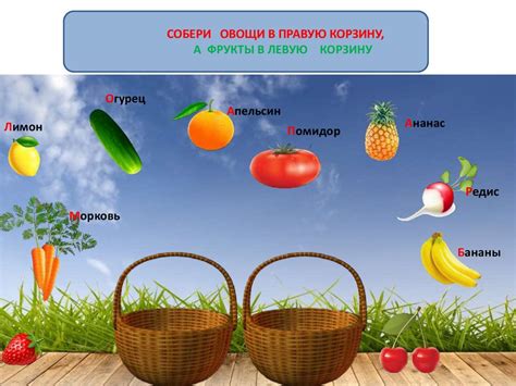 Собери овощи в правую корзину а фрукты в левую корзину презентация