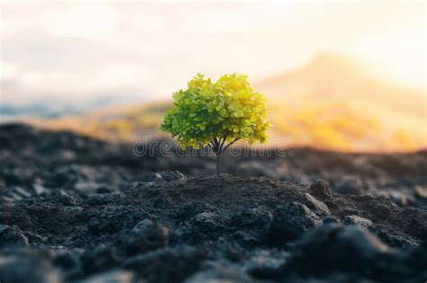 Ecosystem Restoration Celebrating Environment Day With A 3d Tree