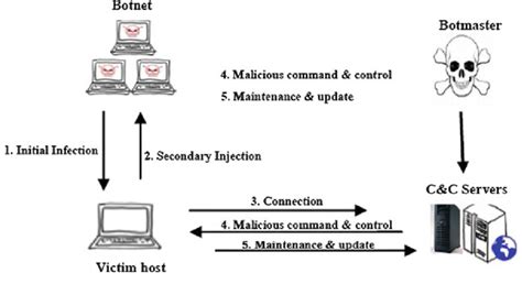 A Typical Botnet Lifecycle Download Scientific Diagram