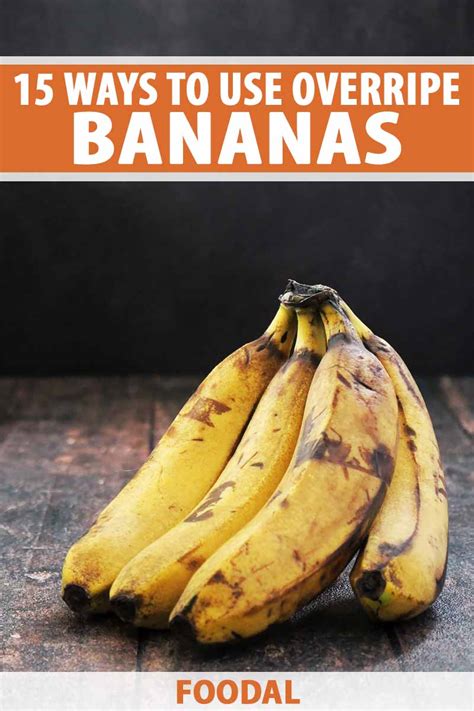 Can Budgies Eat Banana Heres Why Its A Must Try Vet Advises