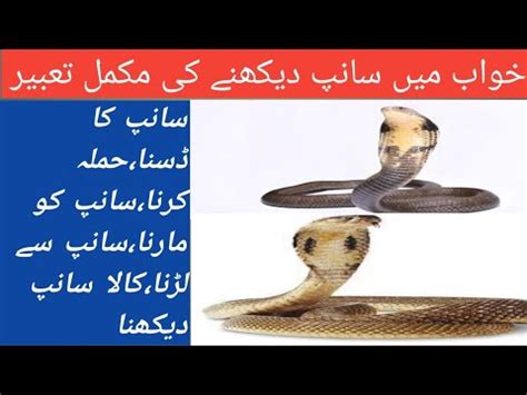 Khuwab Mein Saanp Dekhna Khuwab Mein Saanp Dekhney Ka Matlab Saanp
