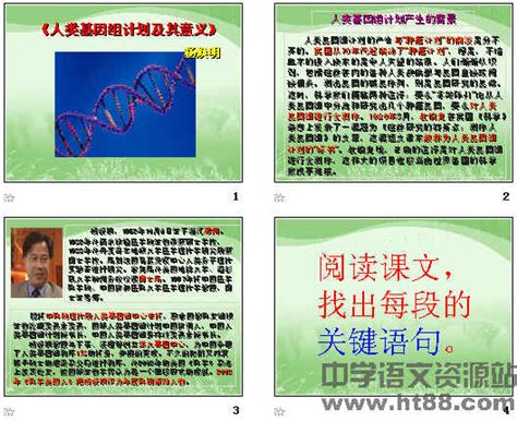 人类基因组计划及其意义ppt3 苏教版