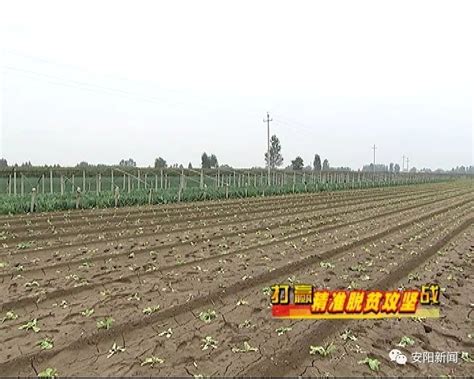 内黄这个村儿发生了翻天覆地的变化 碾子头村