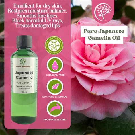 Japanese Camellia Oil Benefits