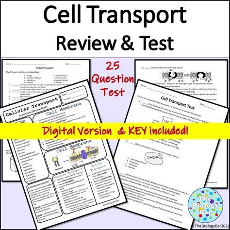 Cell Transport Review And Test Made By Teachers