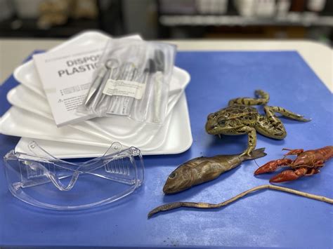Dissection Kit For Apologia Biology 3rd Ed Nebraska Scientific