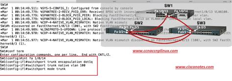 Trunking And Pruning Configuration Best Cisco Ccna Ccnp And Linux