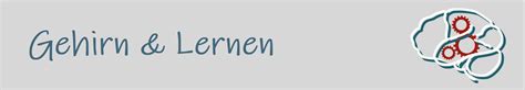 Gehirn Und Lernen Neocortex Archicortex Paleocortex Isocortex