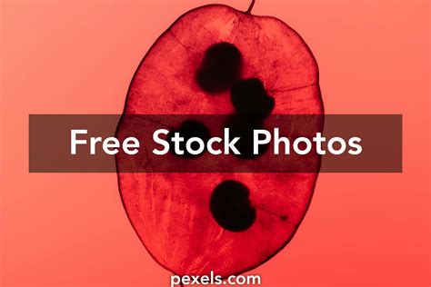Natural Blood Thinners Supplements Photos Download The Best Free