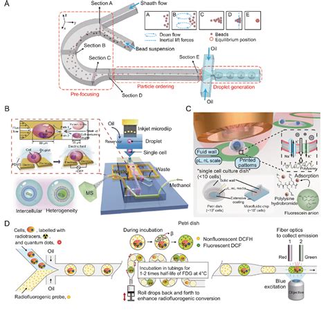 Figure 2 From Recent Advancements In Single Cell Metabolic Analysis For