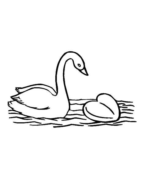 Swan Coloring Page
