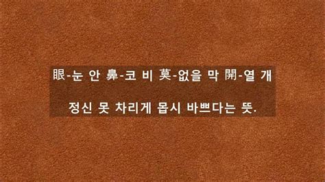 정신 못 차리게 몹시 바쁘다는 뜻 안비막개 사자성어 풀이 명언으로배우는세상 Youtube