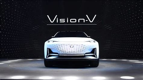 Vision V