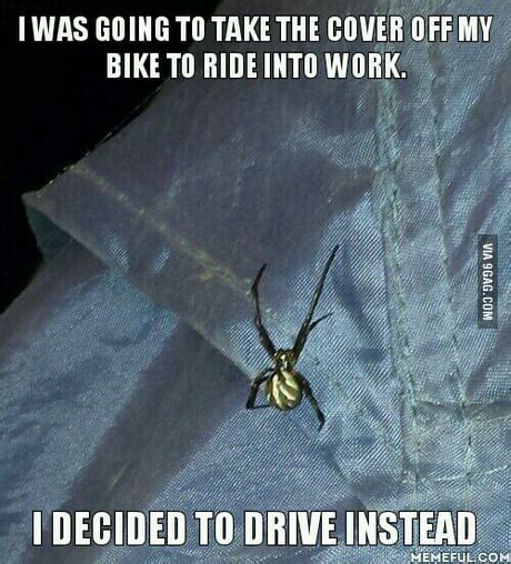 Nope Spider Meme