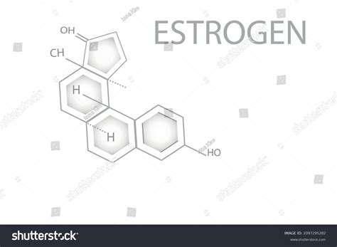 Estrogen Molecular Skeletal Chemical Formula Stock Vector Royalty Free Shutterstock
