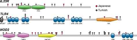 Targeted Resequencing Implicates The Familial Mediterranean Fever Gene