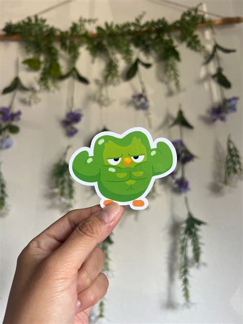 Duolingo Owl Sticker Vinyl Sticker Swole Duolingo Strong Duolingo
