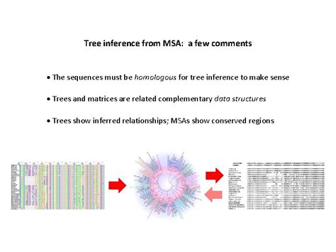 Phylogenetics Without Multiple Sequence Alignment Mark Ragan Institute
