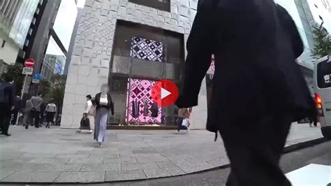 ㅇㅎ 바쁘게 횡단보도 뛰는 눈나 유머 움짤 이슈 에펨코리아