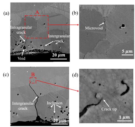 The Microstructures And Sem Images Showing Cracks Inclusions And Download Scientific Diagram