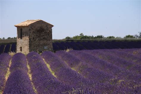 1 17 Dans La Nature