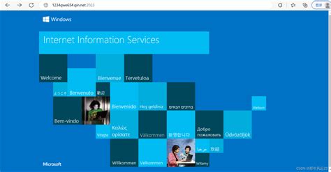 外网访问局域网部署的网站访问局域网网站 Csdn博客