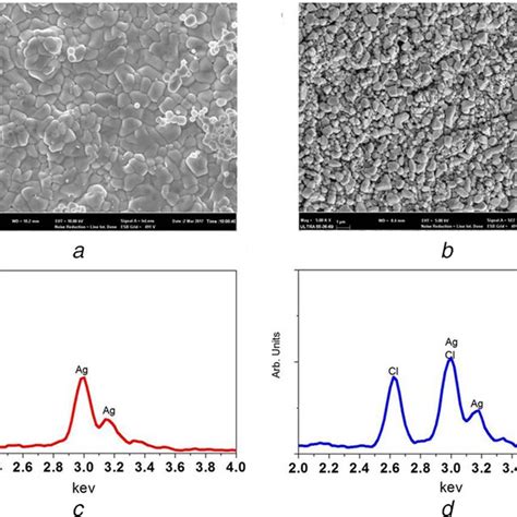 Impedance Plot Of Bare Au Ag Agagcl Microelectrode Arrays Download Scientific Diagram