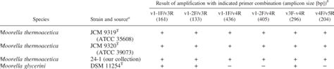 real time pcr specificity test of designed primers using representative