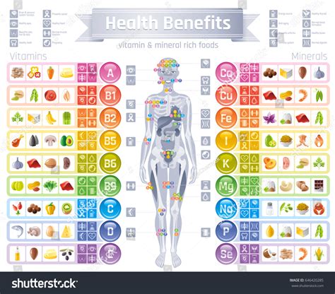 Mineral Vitamin Supplement Icons Health Benefit Stock Vector Royalty