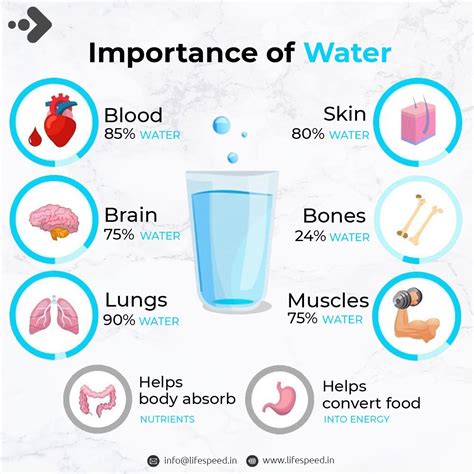 Importance Of Water