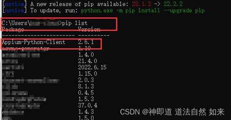 Python Appium Python Client Python Pip Appium Csdn