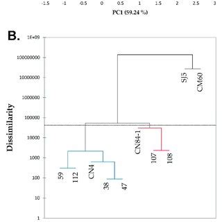 A Biplot Of The Principal Component Analysis Pca Derived From Th