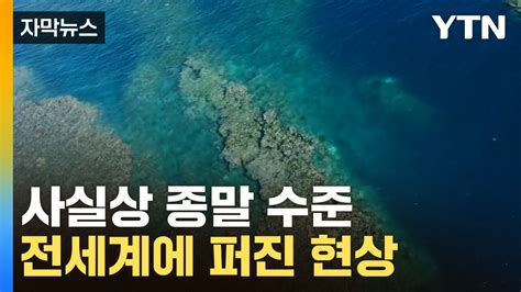자막뉴스 전례 없는 속도의 죽음전문가들 치명적 경고 Ytn
